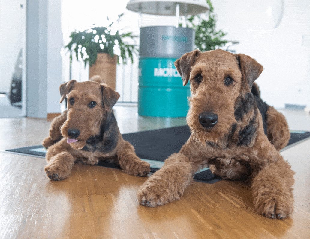 Filtertechnik und Schmierstofftechnik | Ihre Ansprechpartner